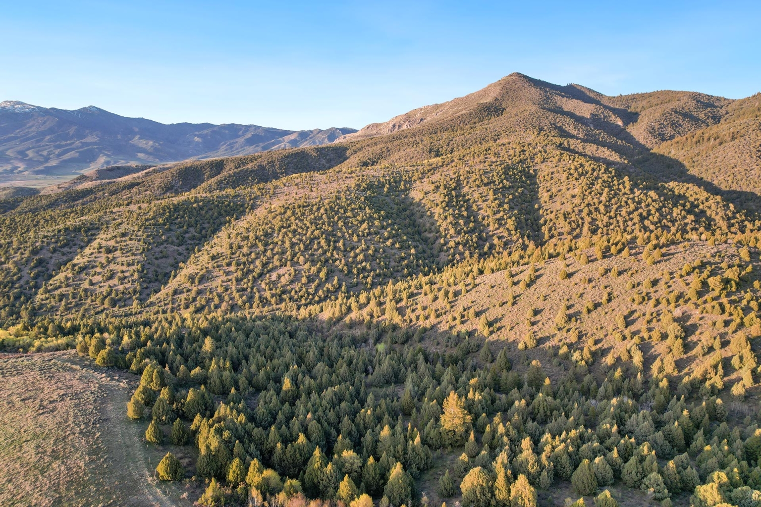 Jenkins Canyon Ranch | Lava Hot Springs Idaho | Fay Ranches