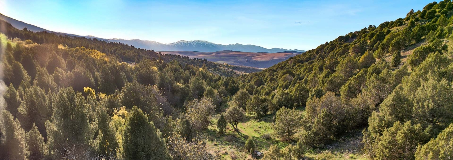 Jenkins Canyon Ranch | Lava Hot Springs Idaho | Fay Ranches