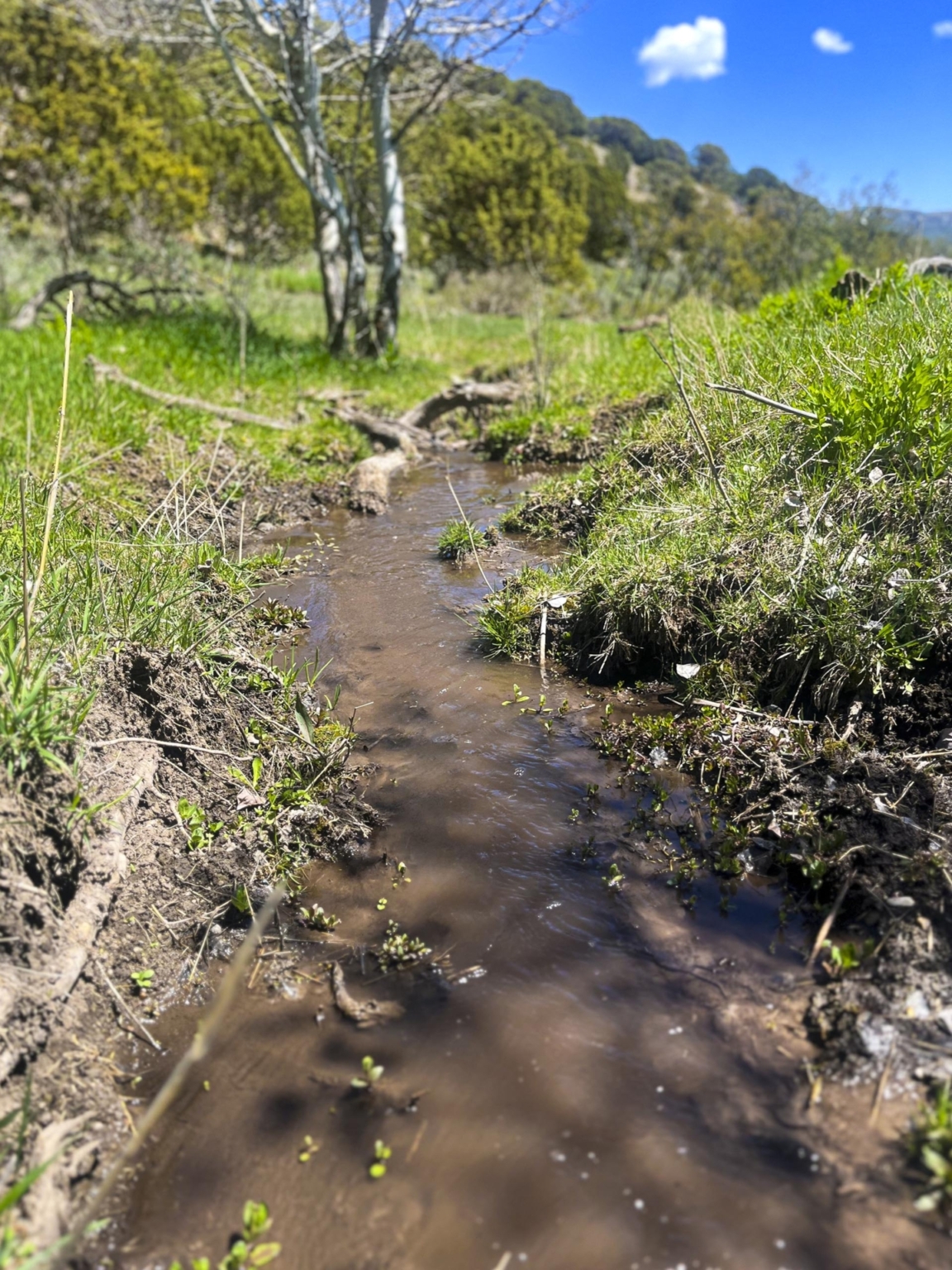 Mill Canyon Ranch | Malad Summit Idaho | Fay Ranches