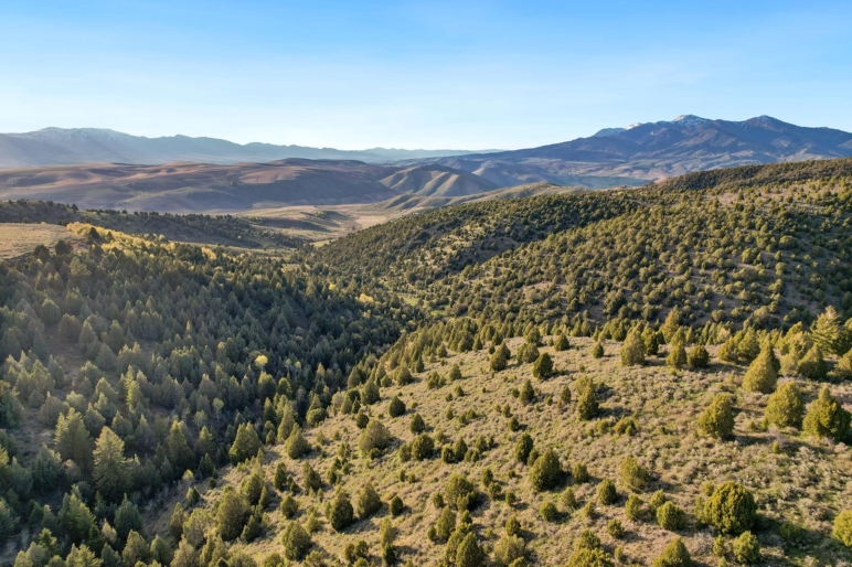 Jenkins Canyon Ranch | Lava Hot Springs Idaho | Fay Ranches