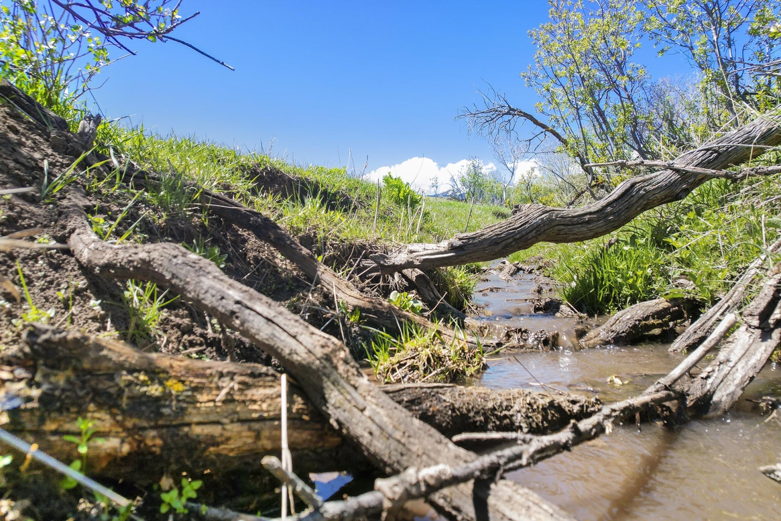 Mill Canyon Ranch | Malad Summit Idaho | Fay Ranches
