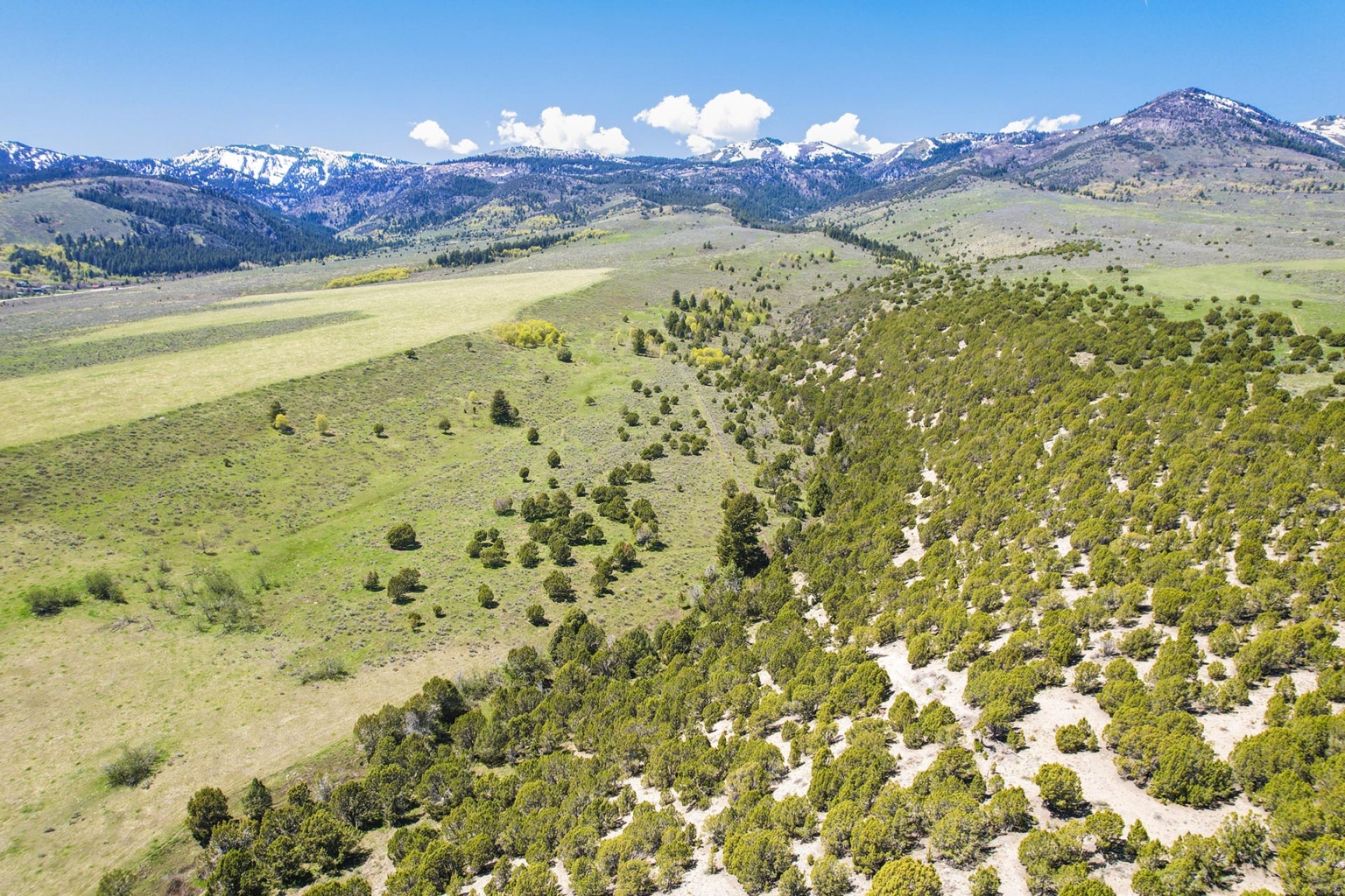 Mill Canyon Ranch | Malad Summit Idaho | Fay Ranches
