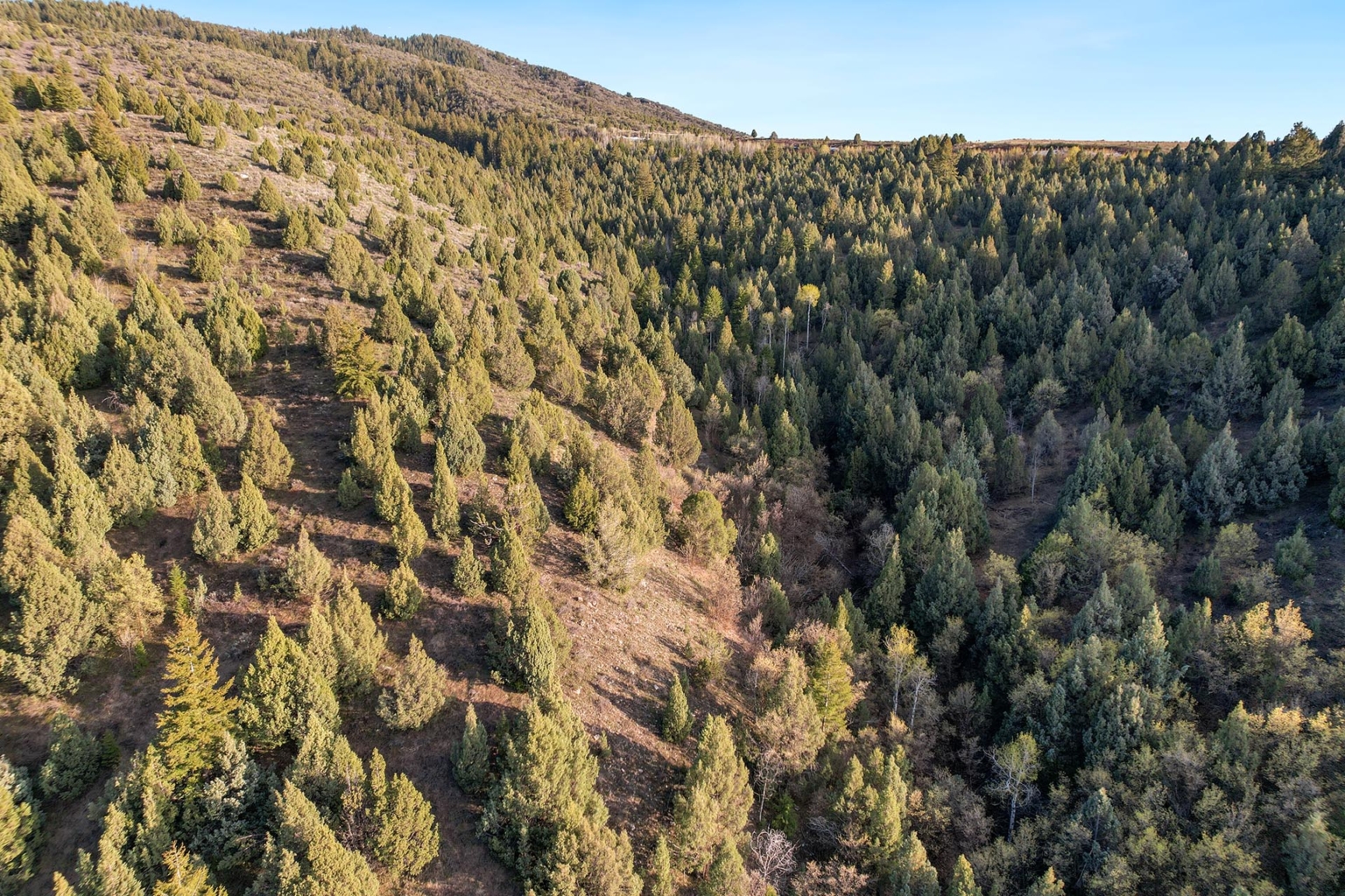 Jenkins Canyon Ranch | Lava Hot Springs Idaho | Fay Ranches
