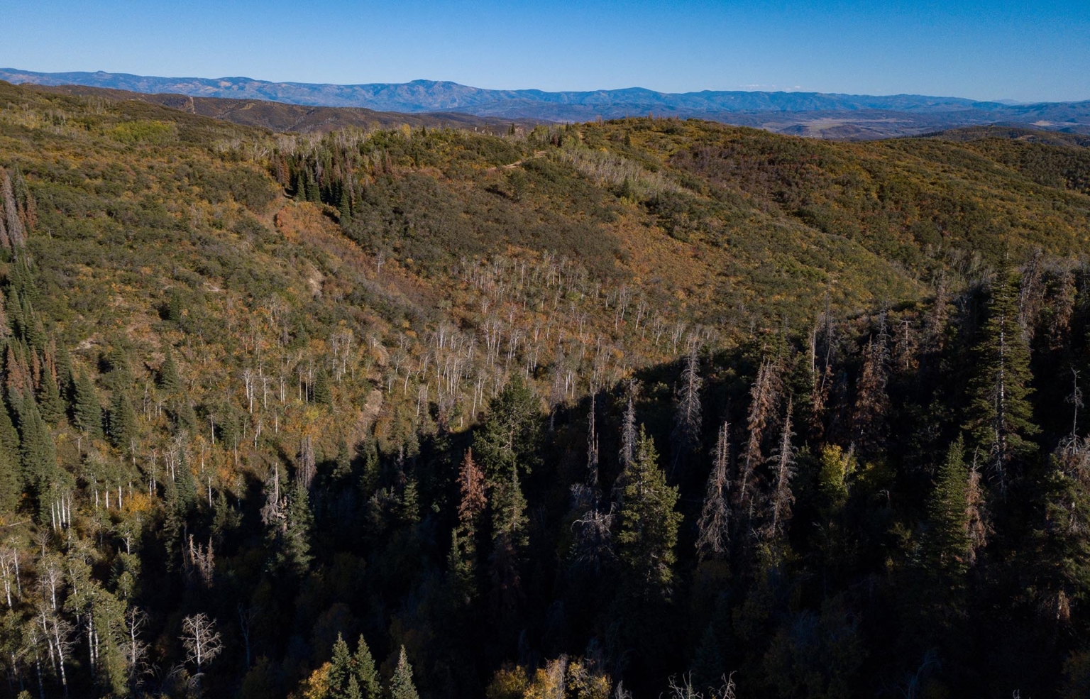 Red Rock Ranch | Steamboat Springs Colorado | Fay Ranches