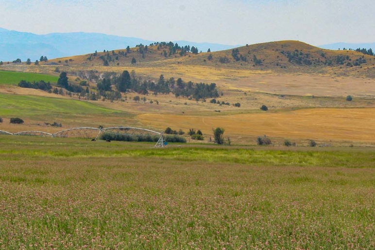 Montana Farm Land For Sale | Large Acreages | Fay Ranches