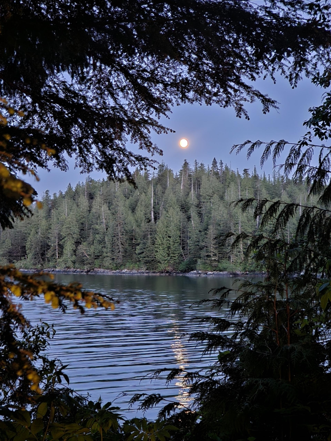 Hidden Inlet Lodge | Ketchikan Alaska | Fay Ranches
