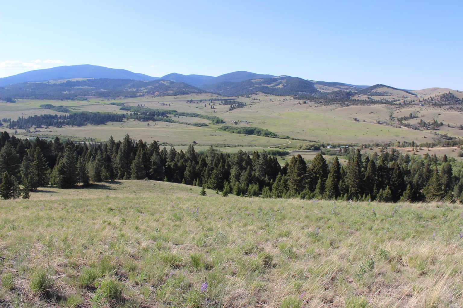 Austin Meadows Mountain Ranch | Helena Montana | Fay Ranches