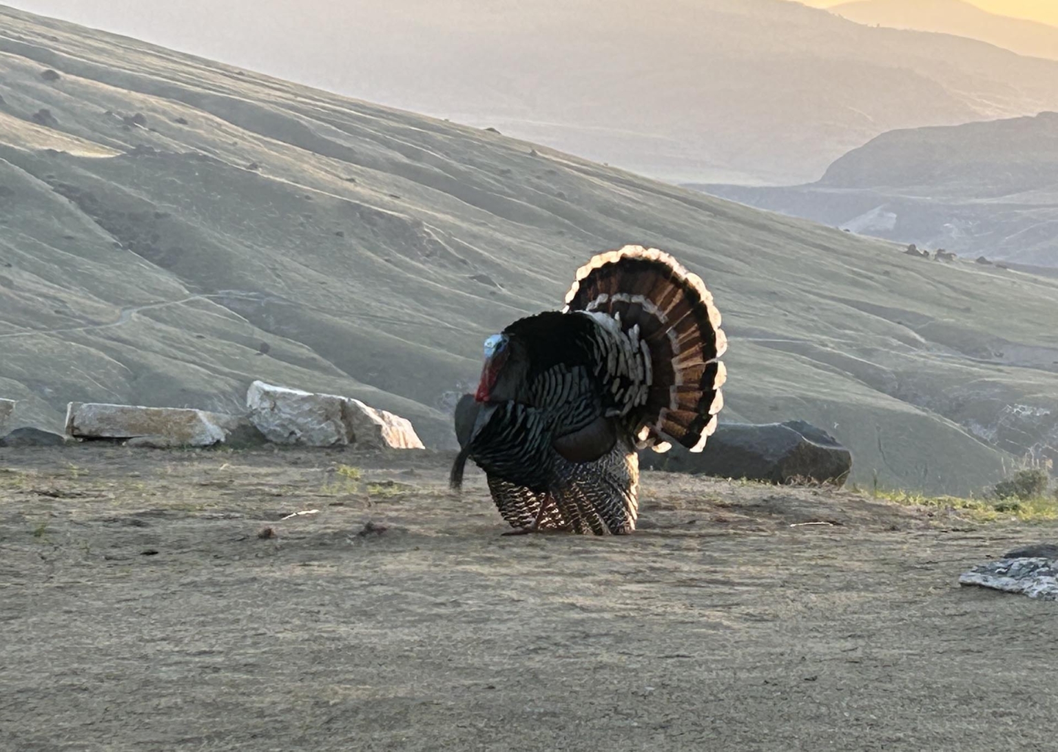 Whiskey Ridge on the Columbia | Bridgeport Washington | Fay Ranches