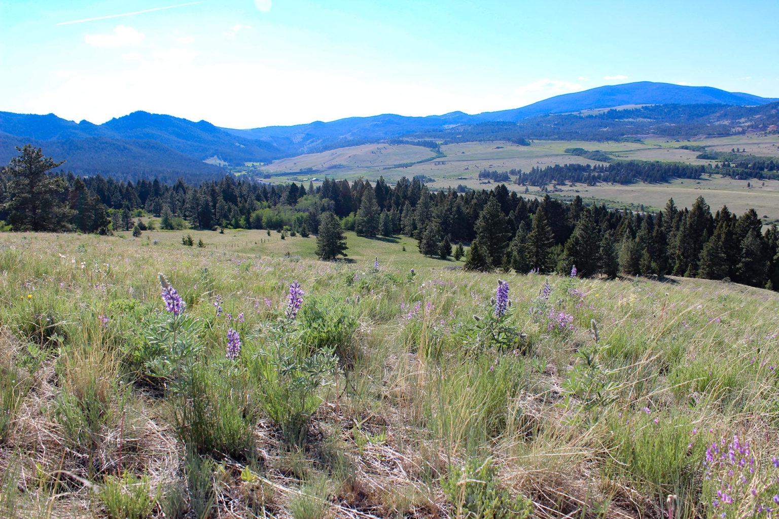 Austin Meadows Mountain Ranch | Helena Montana | Fay Ranches