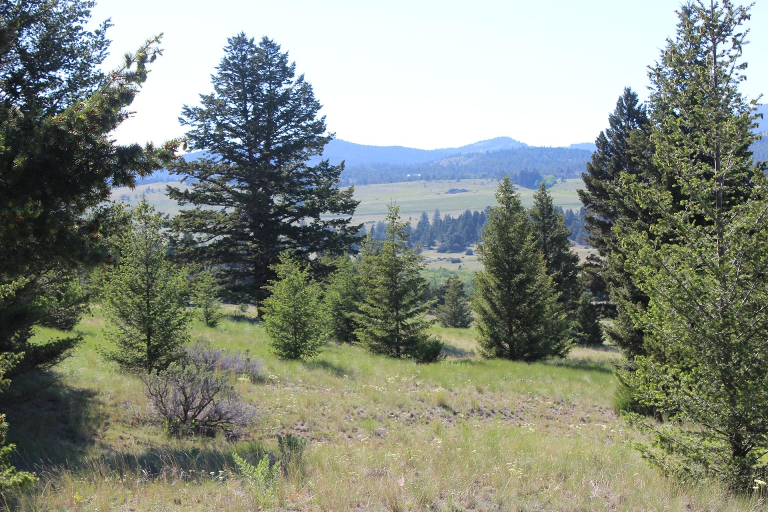 Austin Meadows Mountain Ranch | Helena Montana | Fay Ranches