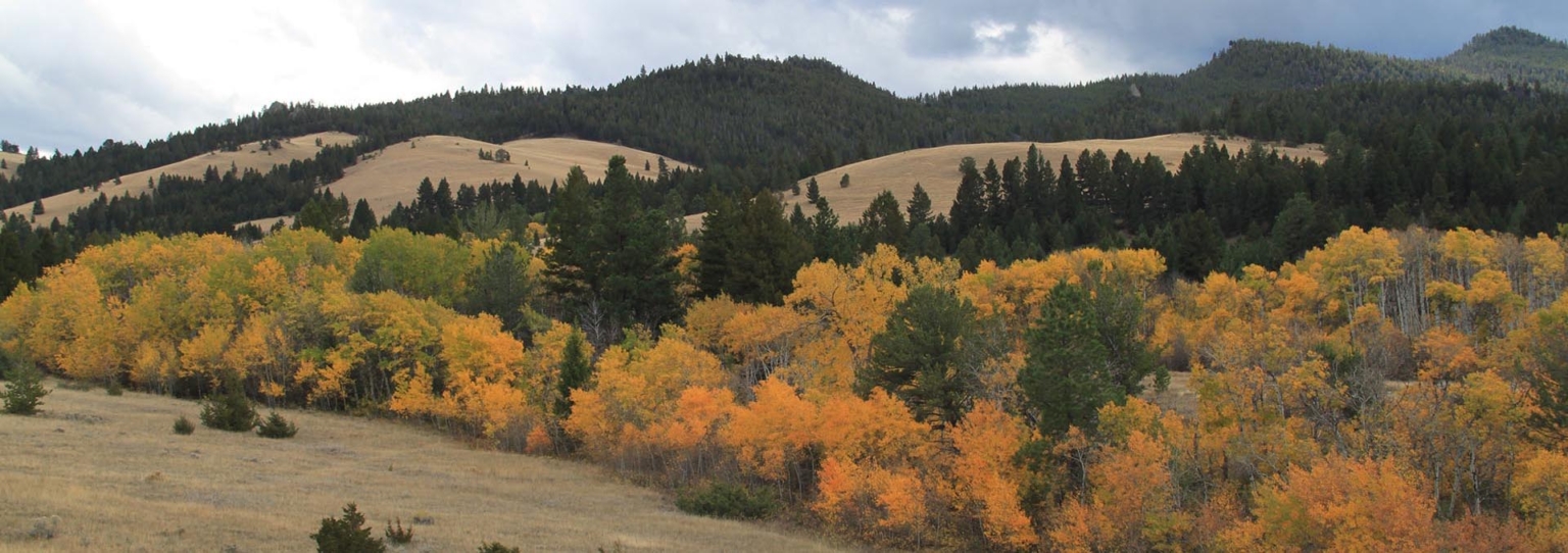 Austin Meadows Mountain Ranch | Helena Montana | Fay Ranches