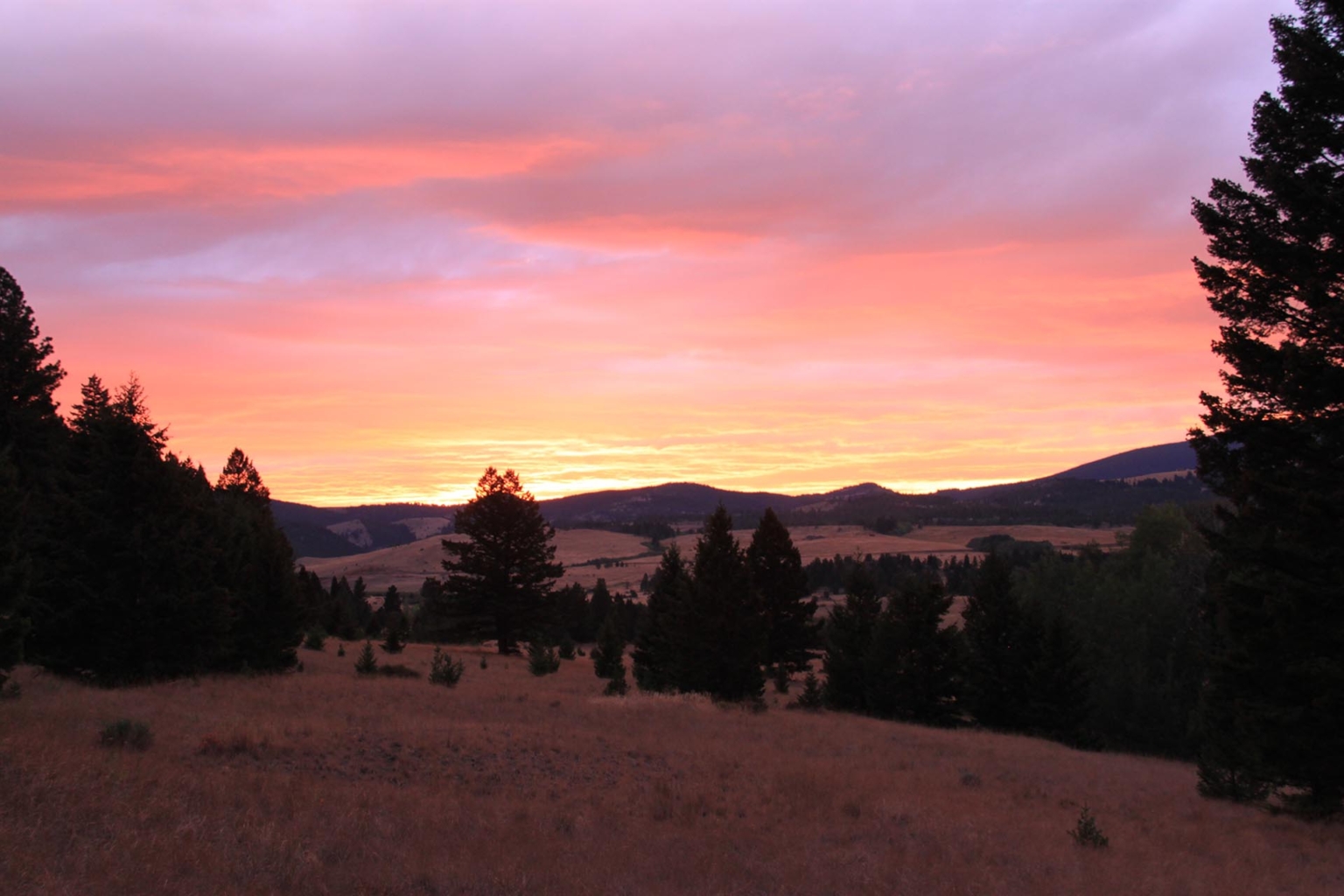 Austin Meadows Mountain Ranch | Helena Montana | Fay Ranches
