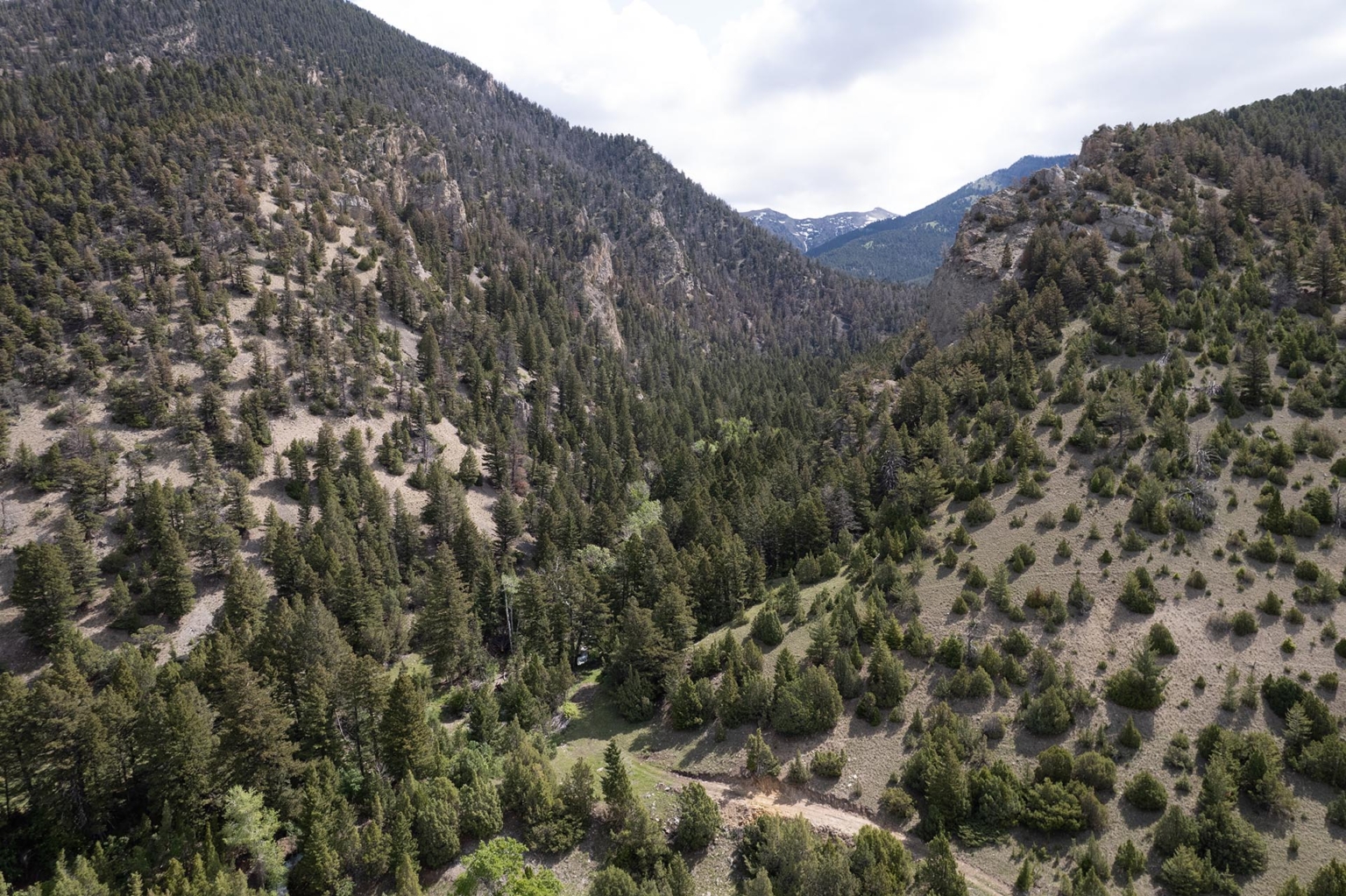 MJS Ranch | Cameron Montana | Fay Ranches