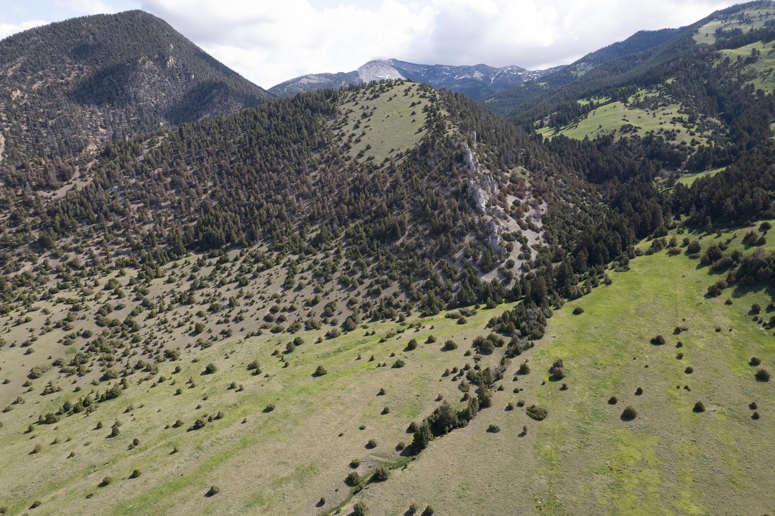 MJS Ranch | Cameron Montana | Fay Ranches