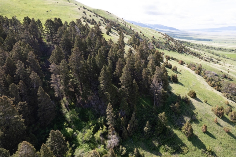 MJS Ranch | Cameron Montana | Fay Ranches