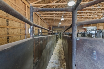 Eagle’s Wing Ranch | Coalmont Colorado | Fay Ranches