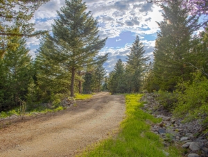 Springhill 40 | Bozeman Montana | Fay Ranches