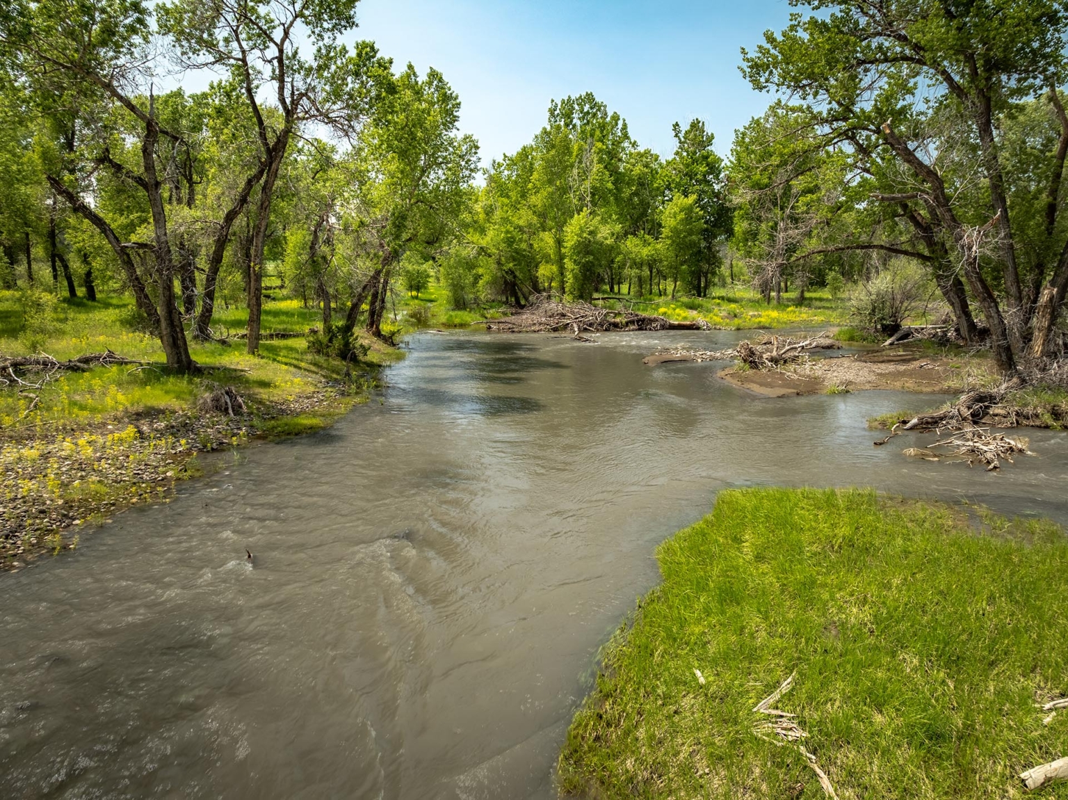 Cottonwood Ranch on the Yellowstone | Columbus Montana | Fay Ranches