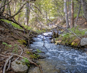 Springhill 40 | Bozeman Montana | Fay Ranches