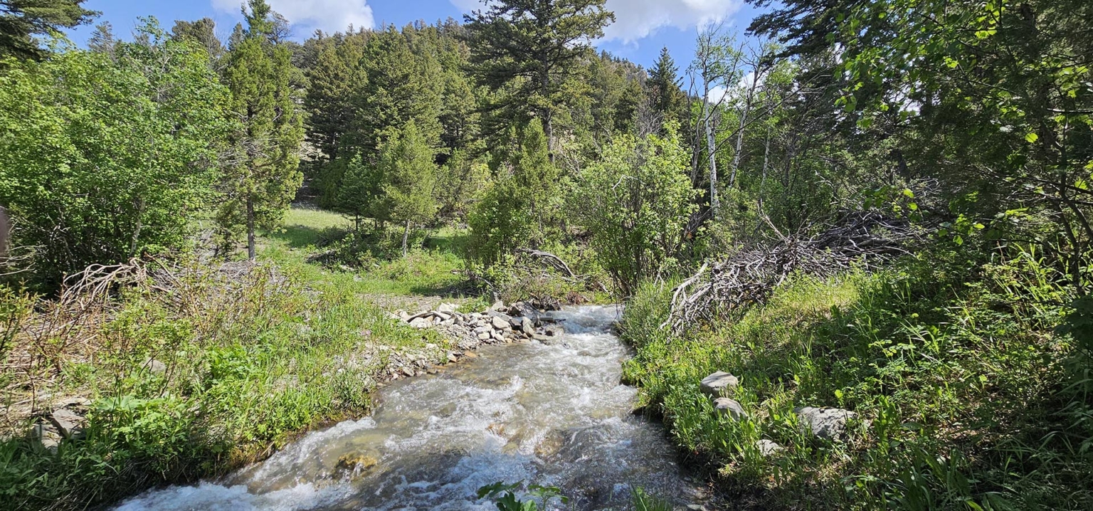 MJS Ranch | Cameron Montana | Fay Ranches