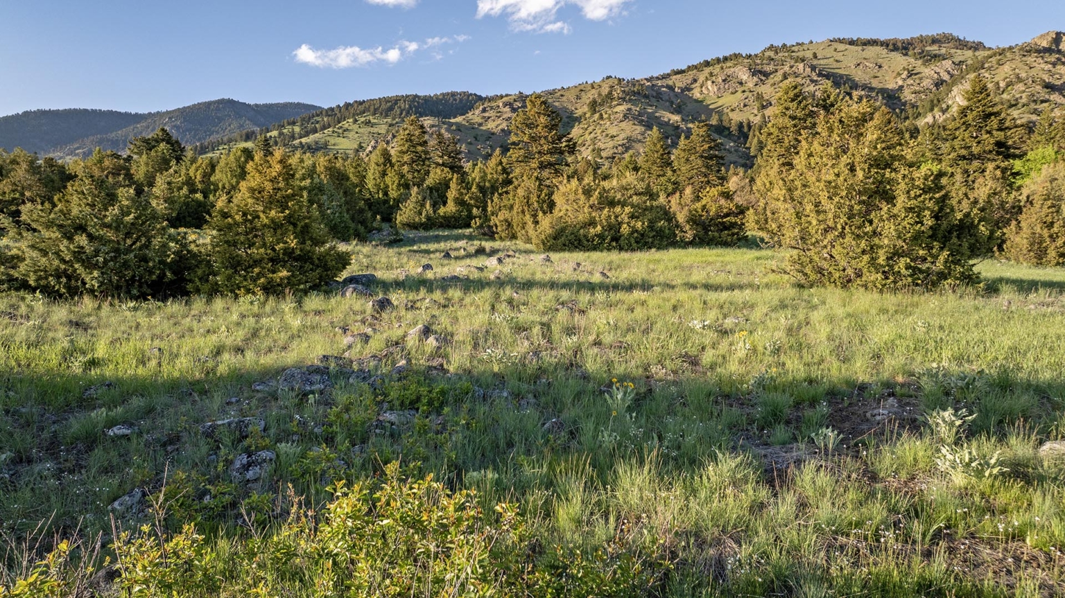 Springhill 40 | Bozeman Montana | Fay Ranches
