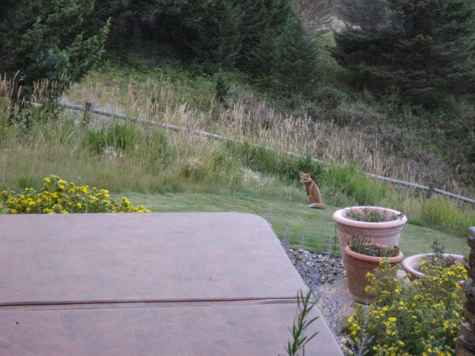 Sheep Mountain High Point Ranch | Red Lodge Montana | Fay Ranches