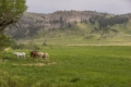 Flying C Ranch | Nye Montana | Fay Ranches