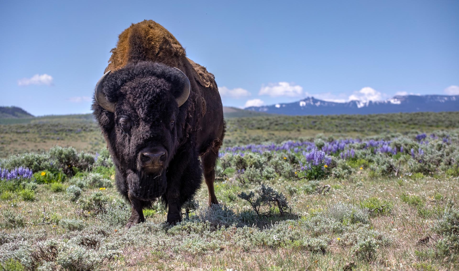 Eagle’s Wing Ranch | Coalmont Colorado | Fay Ranches