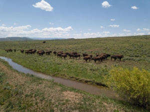 Eagle’s Wing Ranch | Coalmont Colorado | Fay Ranches