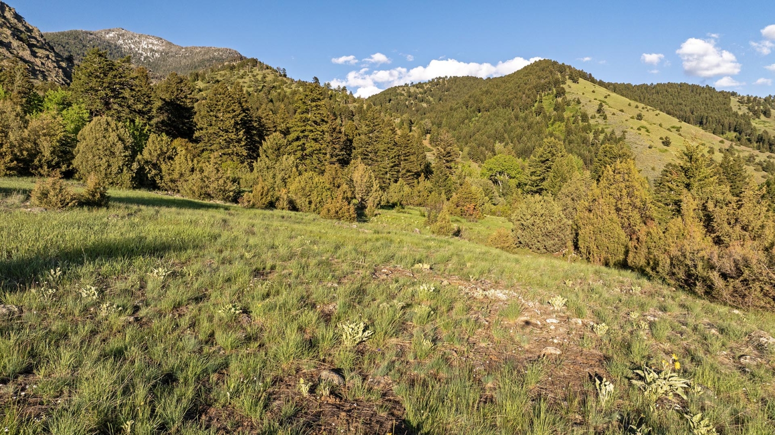 Springhill 40 | Bozeman Montana | Fay Ranches