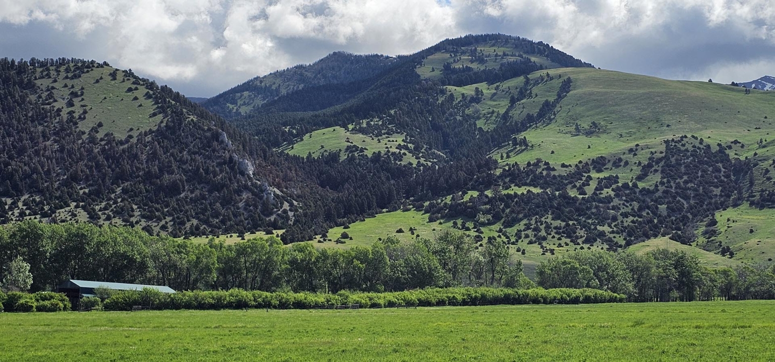 MJS Ranch | Cameron Montana | Fay Ranches