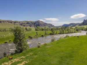 Flying C Ranch | Nye Montana | Fay Ranches