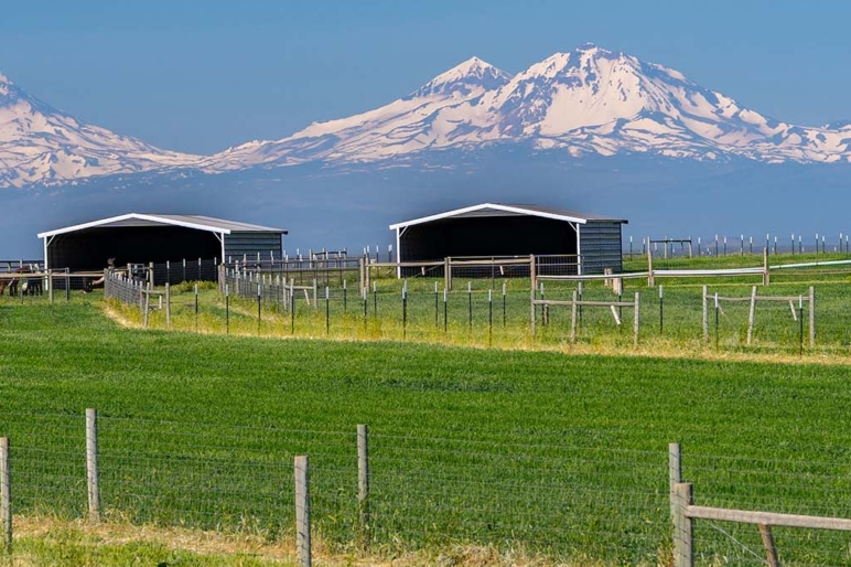 Oregon Farm Land For Sale | Large Acreages | Fay Ranches