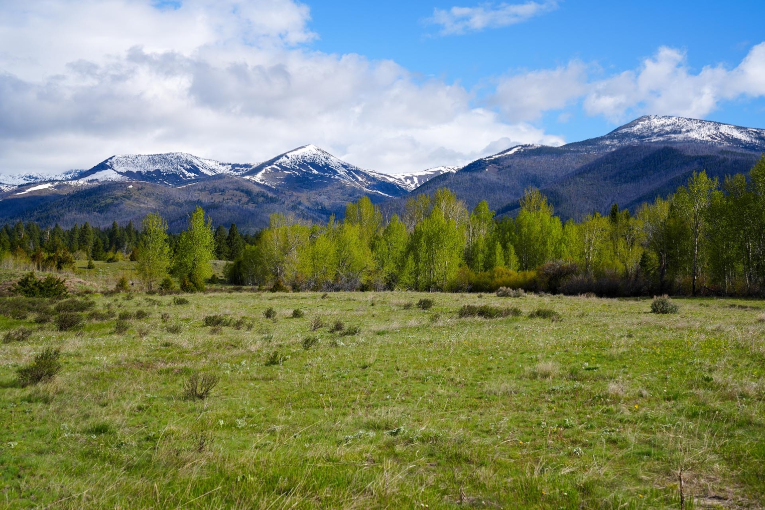 Snowberry Springs | Lincoln Montana | Fay Ranches