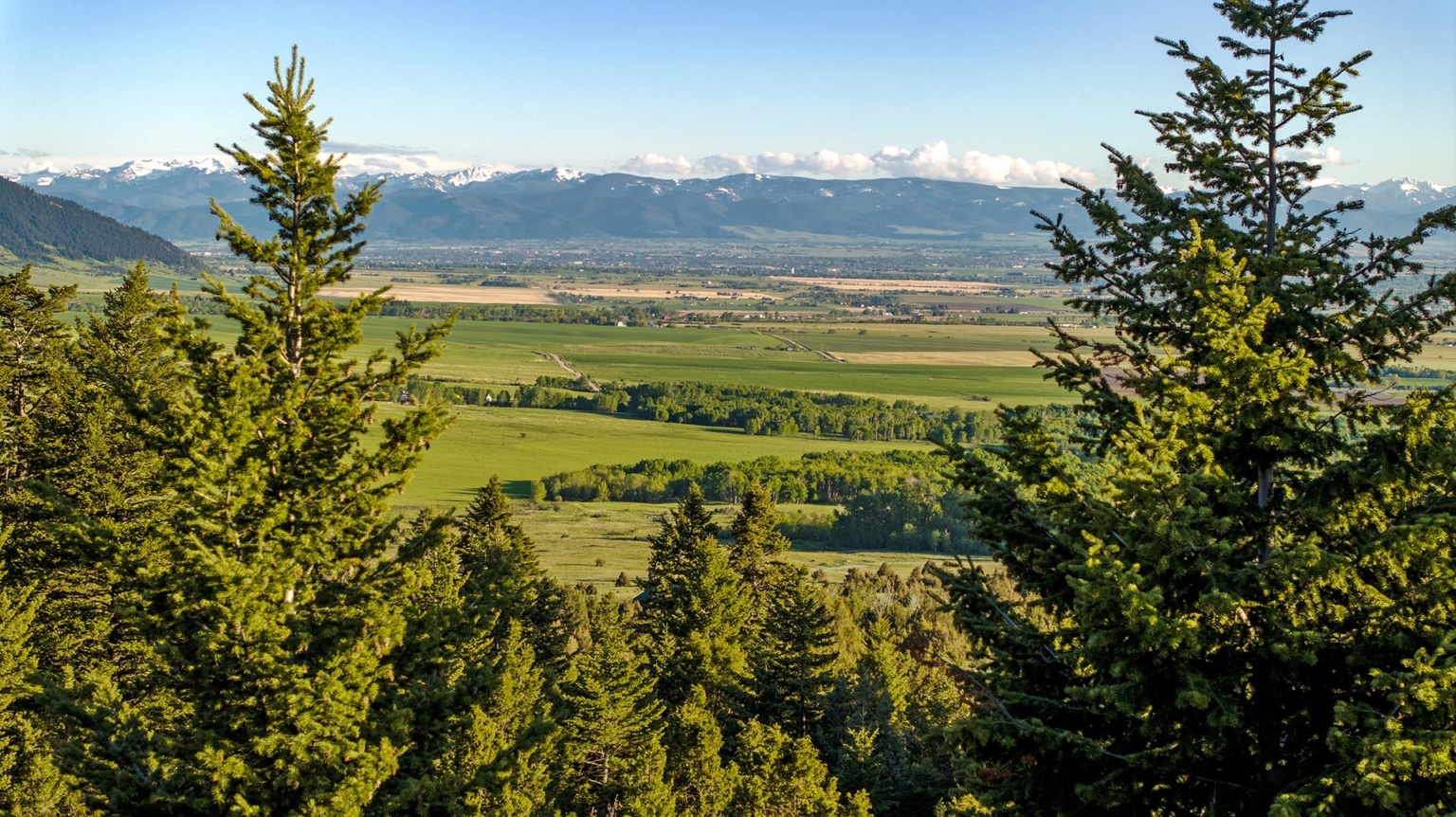 Springhill 40 | Bozeman Montana | Fay Ranches