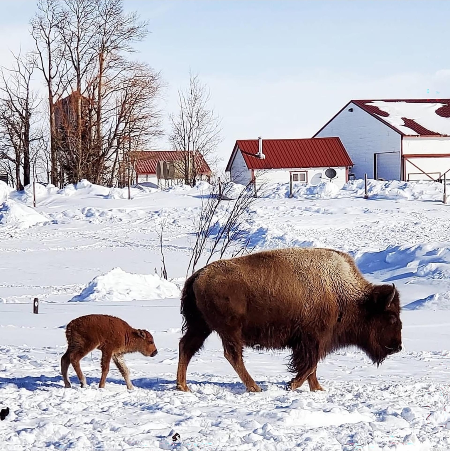 Eagle’s Wing Ranch | Coalmont Colorado | Fay Ranches