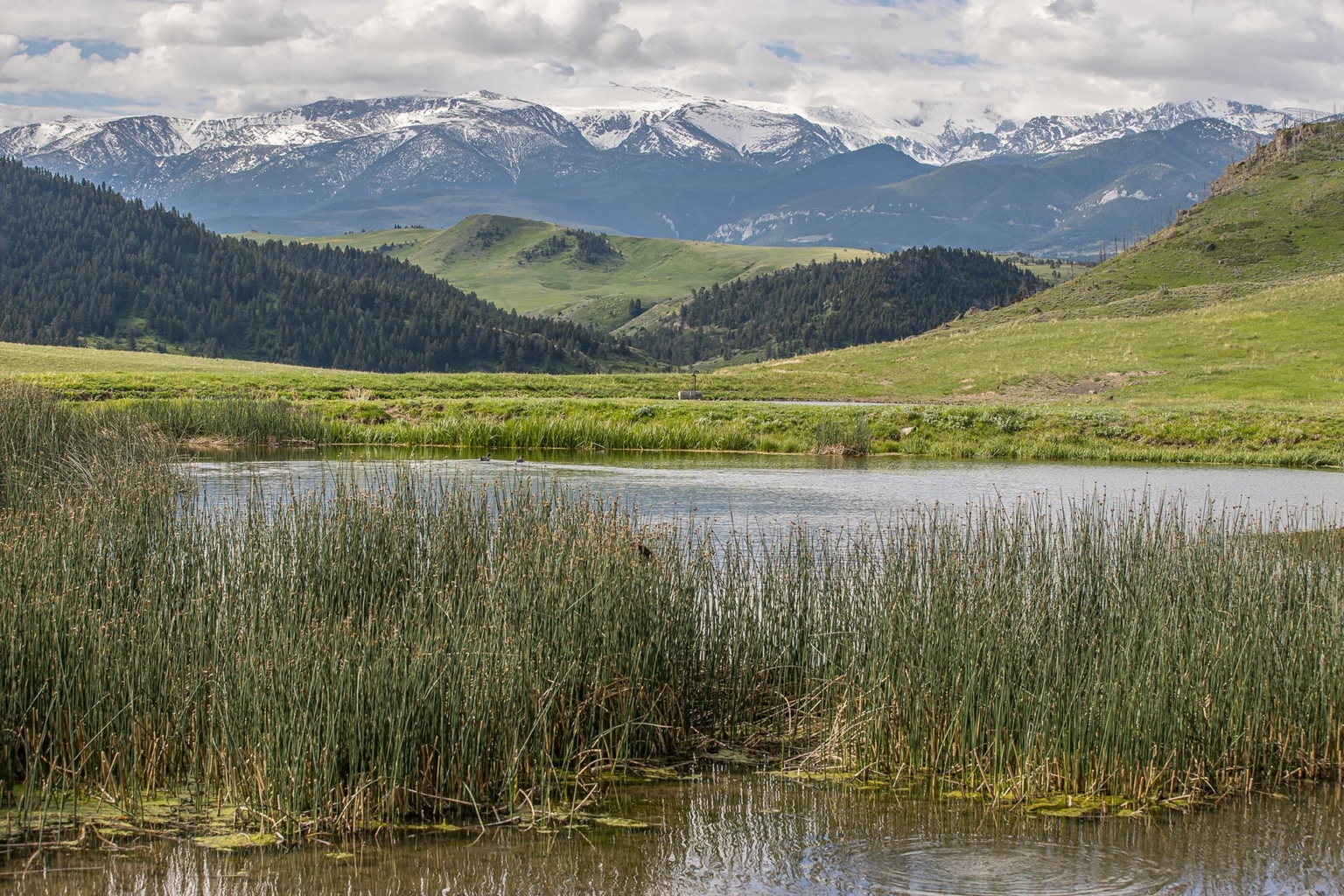 Flying C Ranch | Nye Montana | Fay Ranches