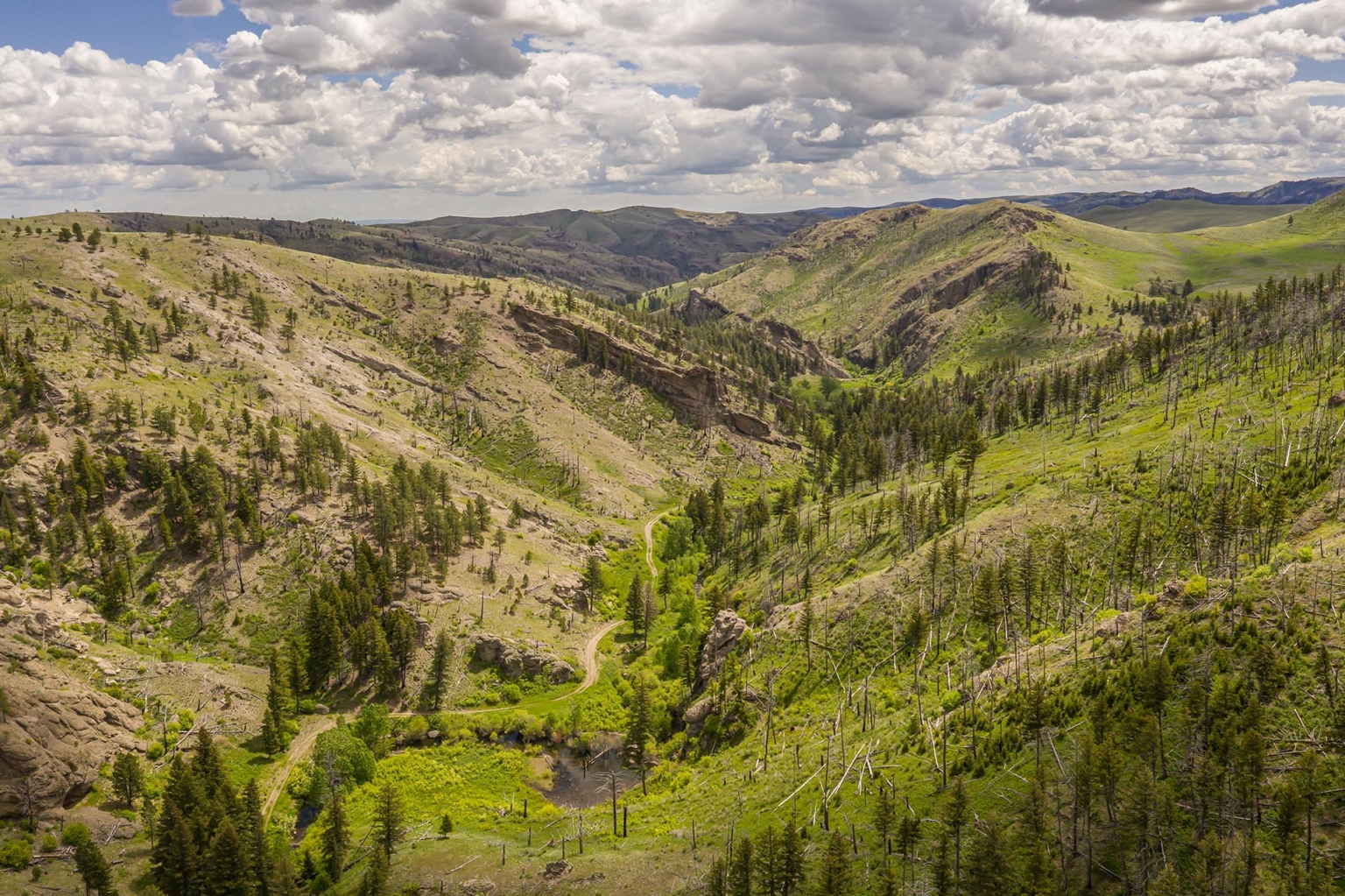 Flying C Ranch | Nye Montana | Fay Ranches