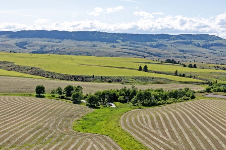 Montana Farm Land For Sale | Large Acreages | Fay Ranches