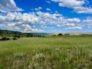 Sweet Grass Valley Ranch | Big Timber Montana | Fay Ranches