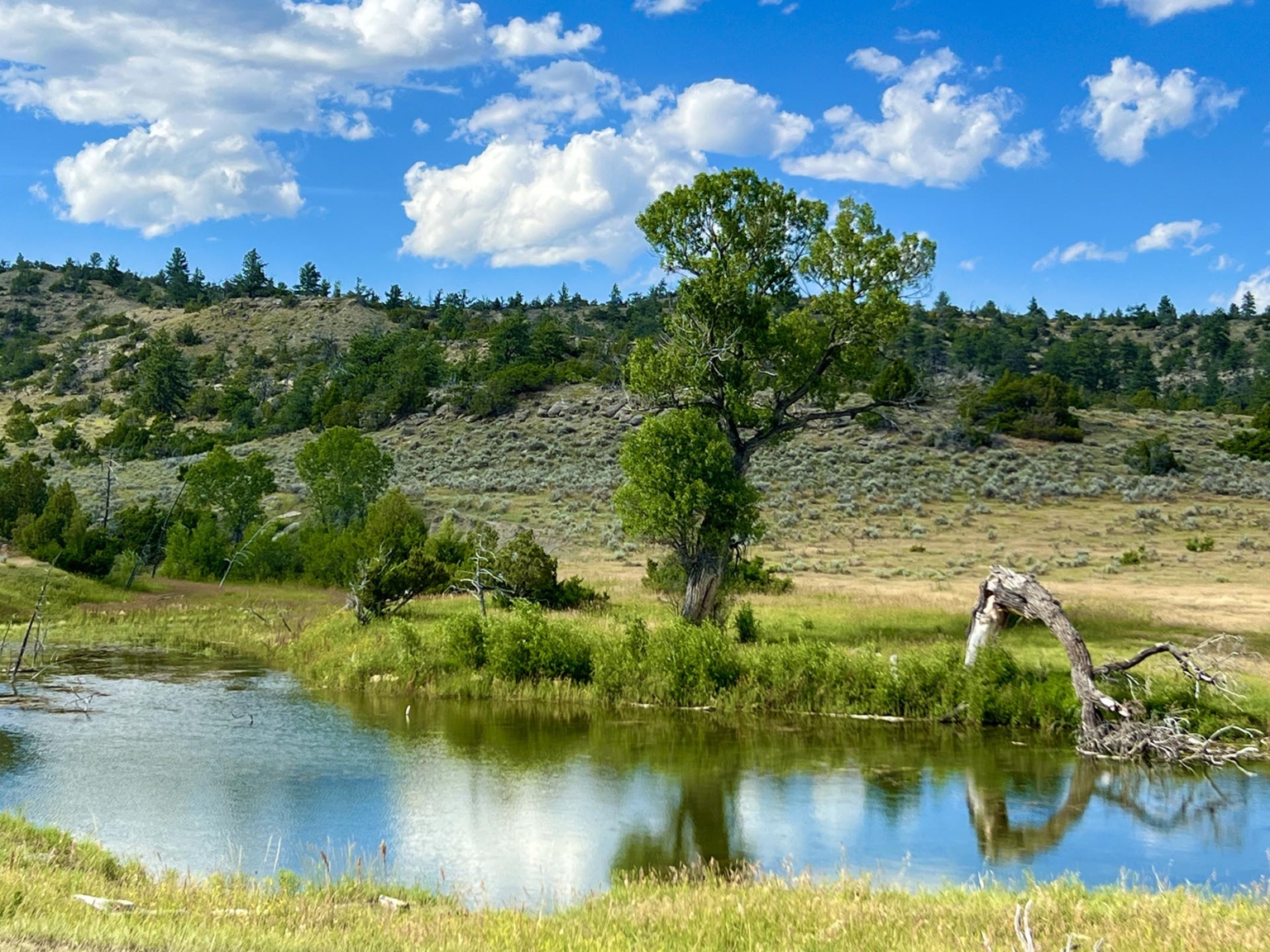 Sweet Grass Valley Ranch | Big Timber Montana | Fay Ranches