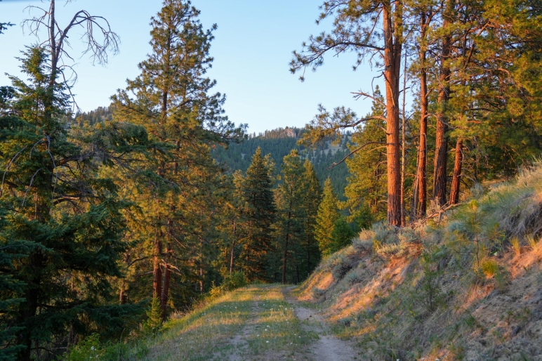 The Bitterroot Highlands at Willow Creek | Corvallis Montana | Fay Ranches