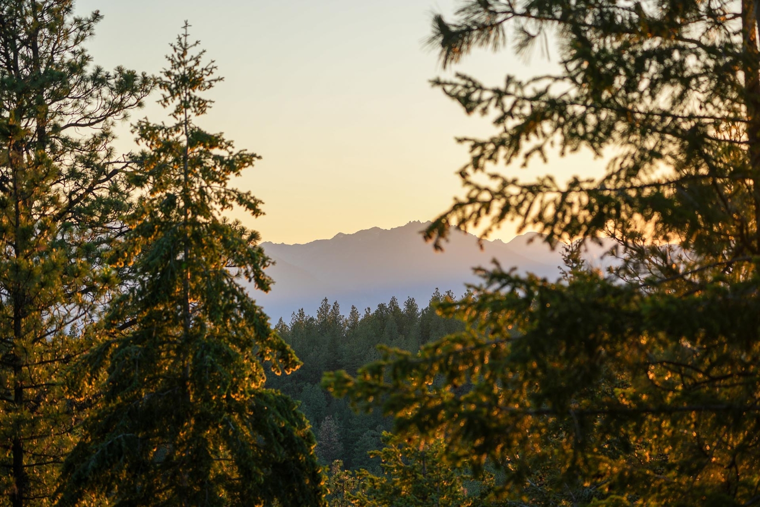 The Bitterroot Highlands at Willow Creek | Corvallis Montana | Fay Ranches