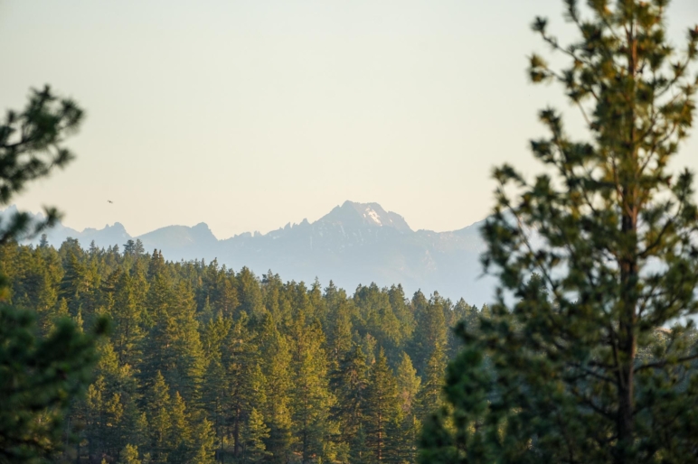 The Bitterroot Highlands at Willow Creek | Corvallis Montana | Fay Ranches