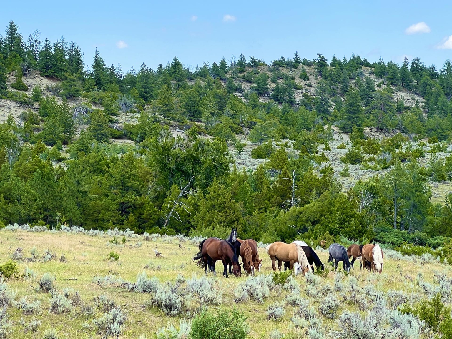Sweet Grass Valley Ranch | Big Timber Montana | Fay Ranches