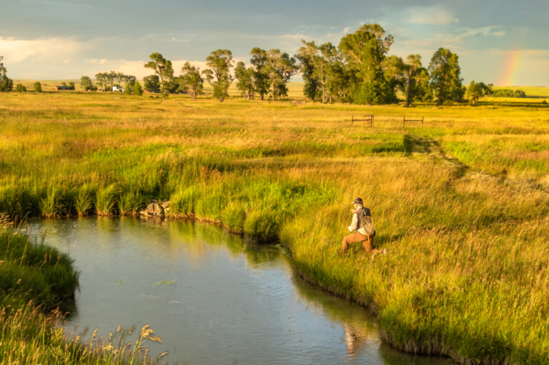 Rocky Mountain Ranch Land Properties For Sale | Fay Ranches