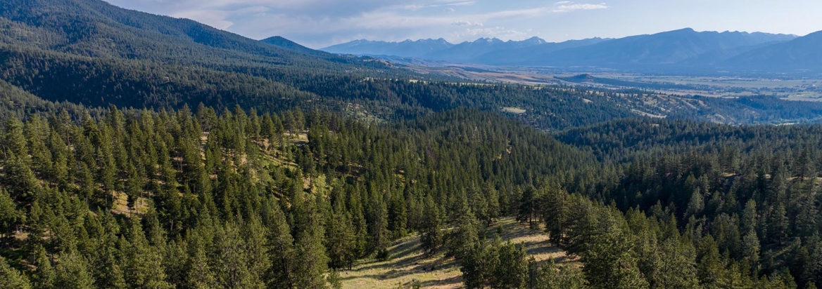 The Bitterroot Highlands at Willow Creek | Corvallis Montana | Fay Ranches