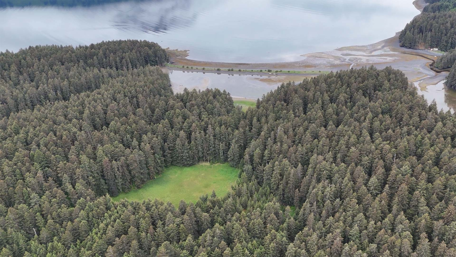 Dry Spruce Island | Kodiak Alaska | Fay Ranches