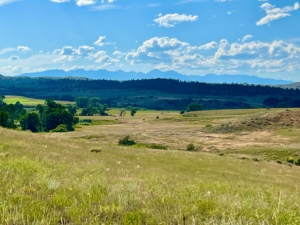 Sweet Grass Valley Ranch | Big Timber Montana | Fay Ranches