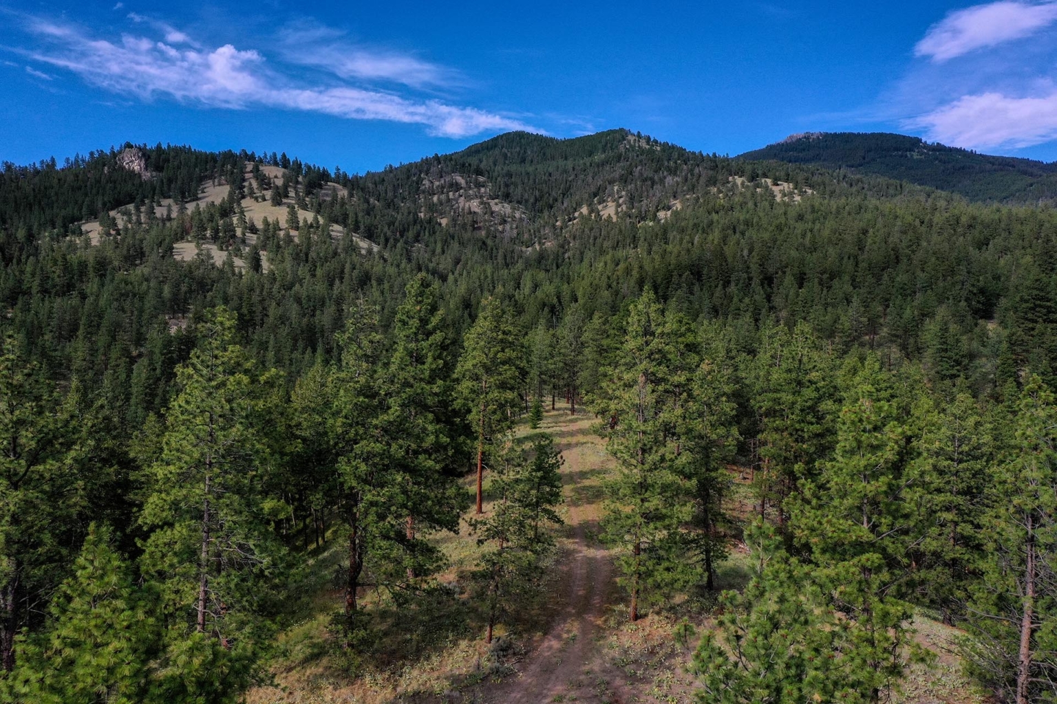 The Bitterroot Highlands at Willow Creek | Corvallis Montana | Fay Ranches